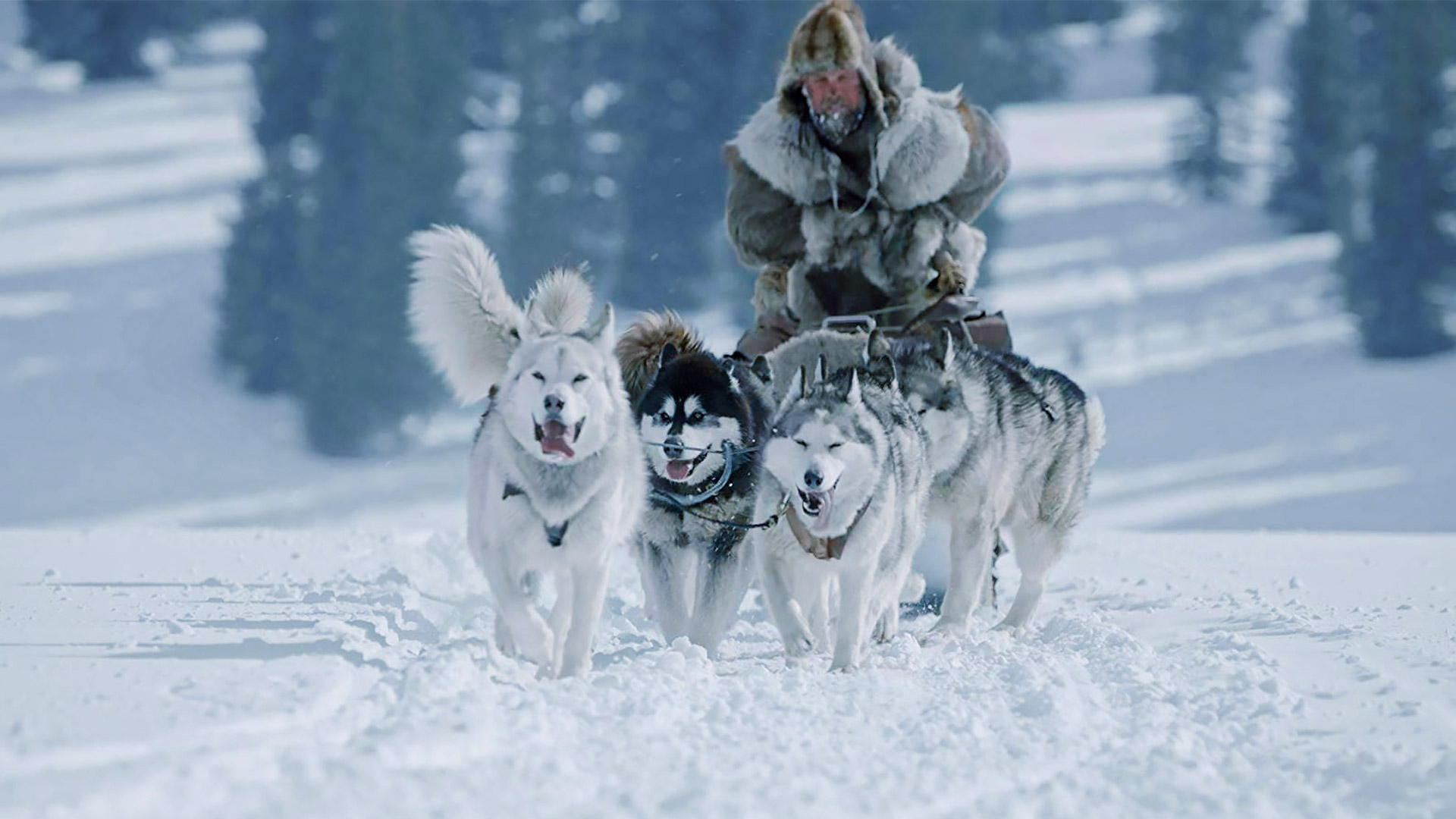 The Great Alaskan Race • Arvostelu | Film-O-Holic.com