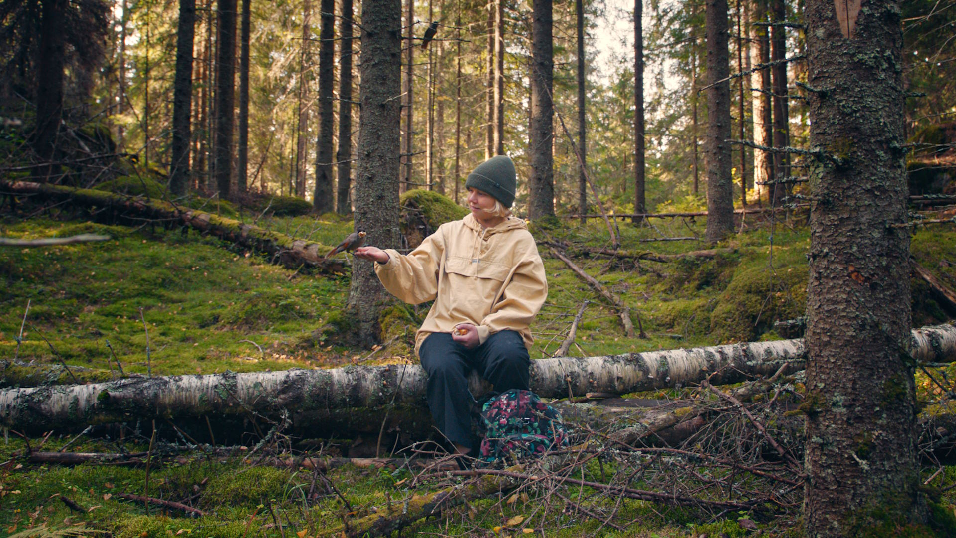 Havumetsän lapset • Arvostelu | Film-O-Holic.com